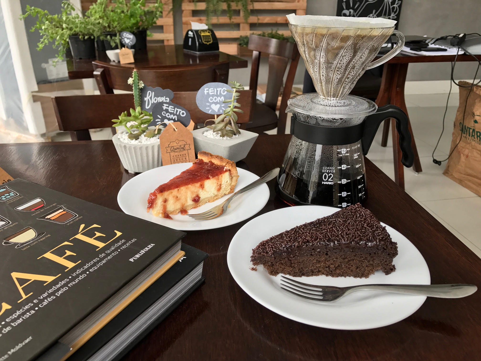 Quintal Catarina – Um Sonho de Café - Blog Have a Coffee